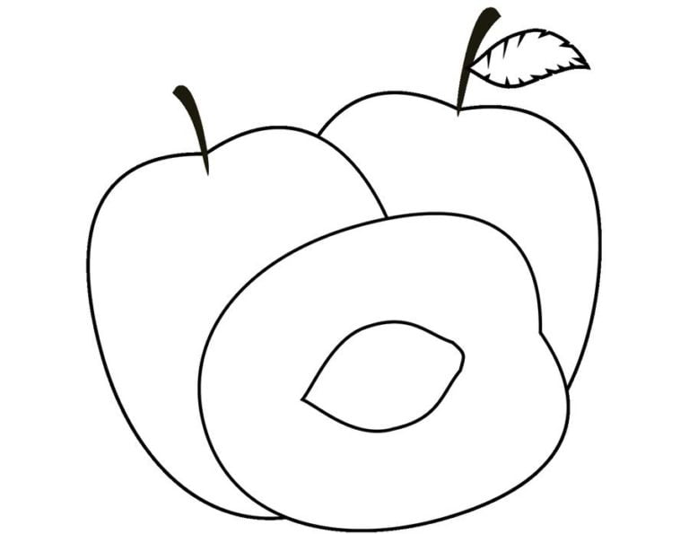 Coloriages: Prune imprimable, gratuit, pour les enfants et les adultes