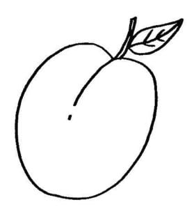 Coloring pages: Apricot, printable for kids & adults, free to download