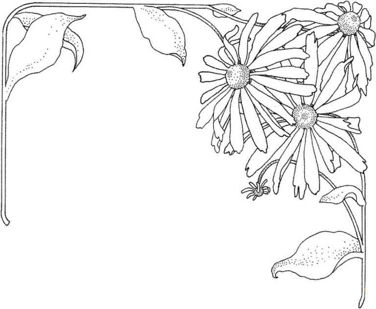 Coloring pages: Aster, printable for kids & adults, free to download