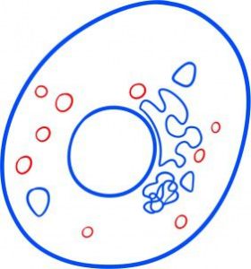 How to draw: Bacteria - easy step by step tutorial for kids
