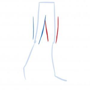How to draw: Legs - easy step by step tutorial for kids