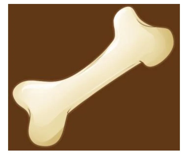 Come disegnare: Osso - facili tutorial passo per passo per bambini