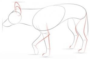 How to draw: Dingo - easy step by step tutorial for kids