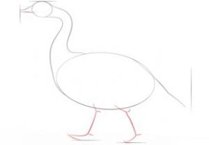 How to draw: Goose - easy step by step tutorial for kids