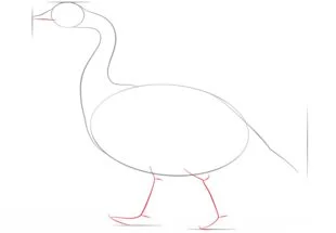 How to draw: Goose - easy step by step tutorial for kids