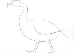 How to draw: Goose - easy step by step tutorial for kids