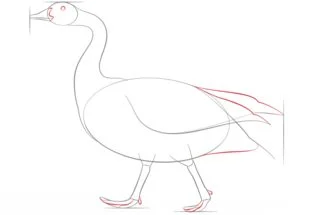 How to draw: Goose - easy step by step tutorial for kids