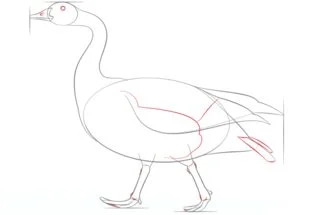How to draw: Goose - easy step by step tutorial for kids