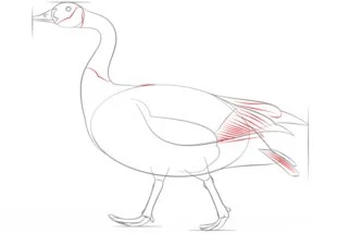 How to draw: Goose - easy step by step tutorial for kids