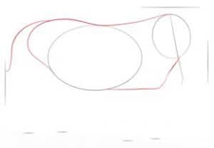 How to draw: Warthog - easy step by step tutorial for kids