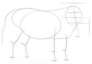 How to draw: Warthog - easy step by step tutorial for kids