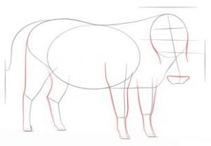 How to draw: Warthog - easy step by step tutorial for kids