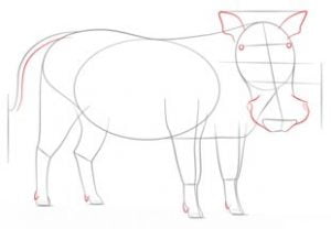 How to draw: Warthog - easy step by step tutorial for kids