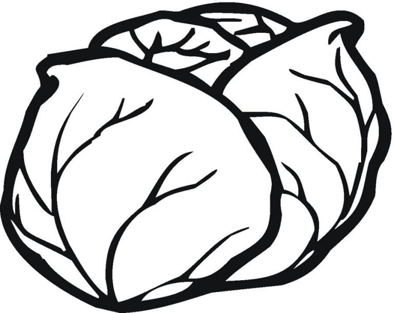 Dibujos para colorear: Lechuga imprimible, gratis, para los niños y los ...
