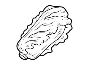 Dibujos para colorear: Lechuga imprimible, gratis, para los niños y los ...