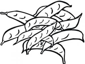 Coloriages: Haricot imprimable, gratuit, pour les enfants et les adultes